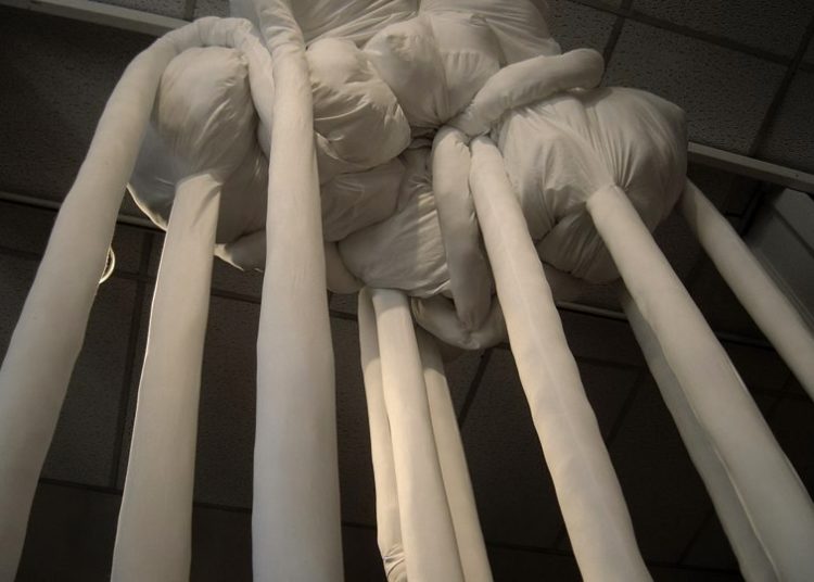 Debbie Quick - Ceramics Now