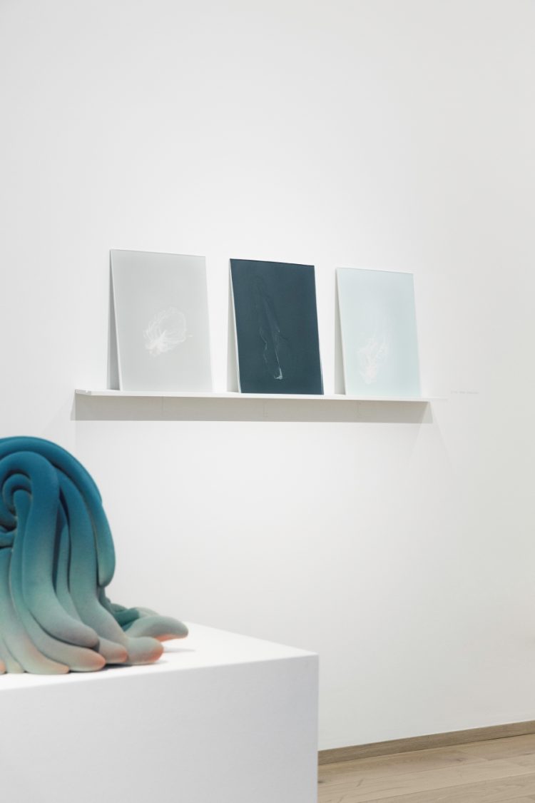 Applications are open to the fourth edition of the Officine Saffi Award ...