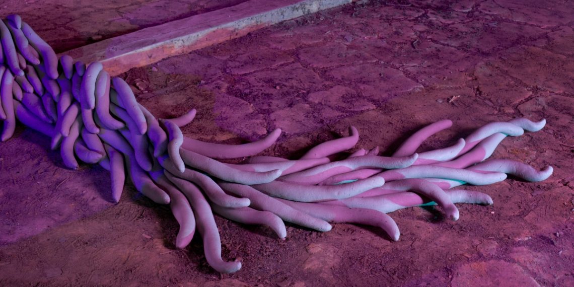 Claire Lindner - Ceramics Now