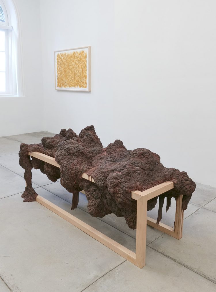 Magdolene Dykstra: all gilded landscapes and glistening shows fade at ...