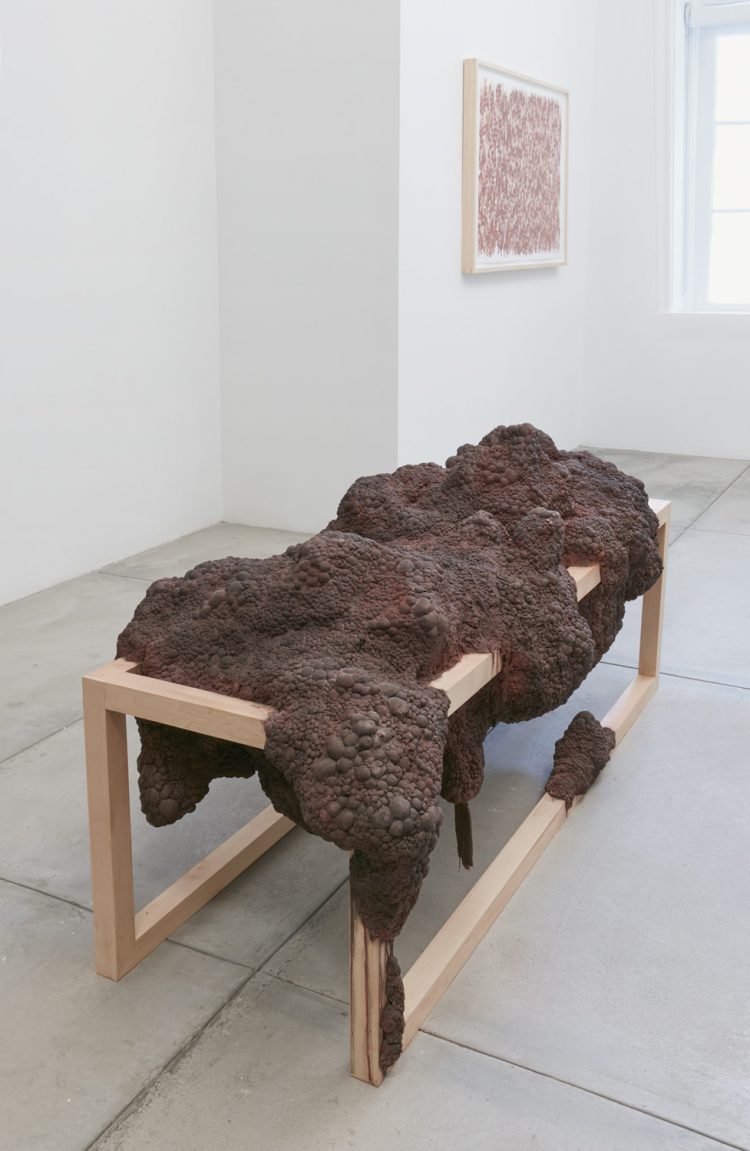 Magdolene Dykstra: all gilded landscapes and glistening shows fade at ...