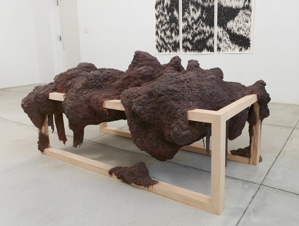 Magdolene Dykstra: all gilded landscapes and glistening shows fade at ...