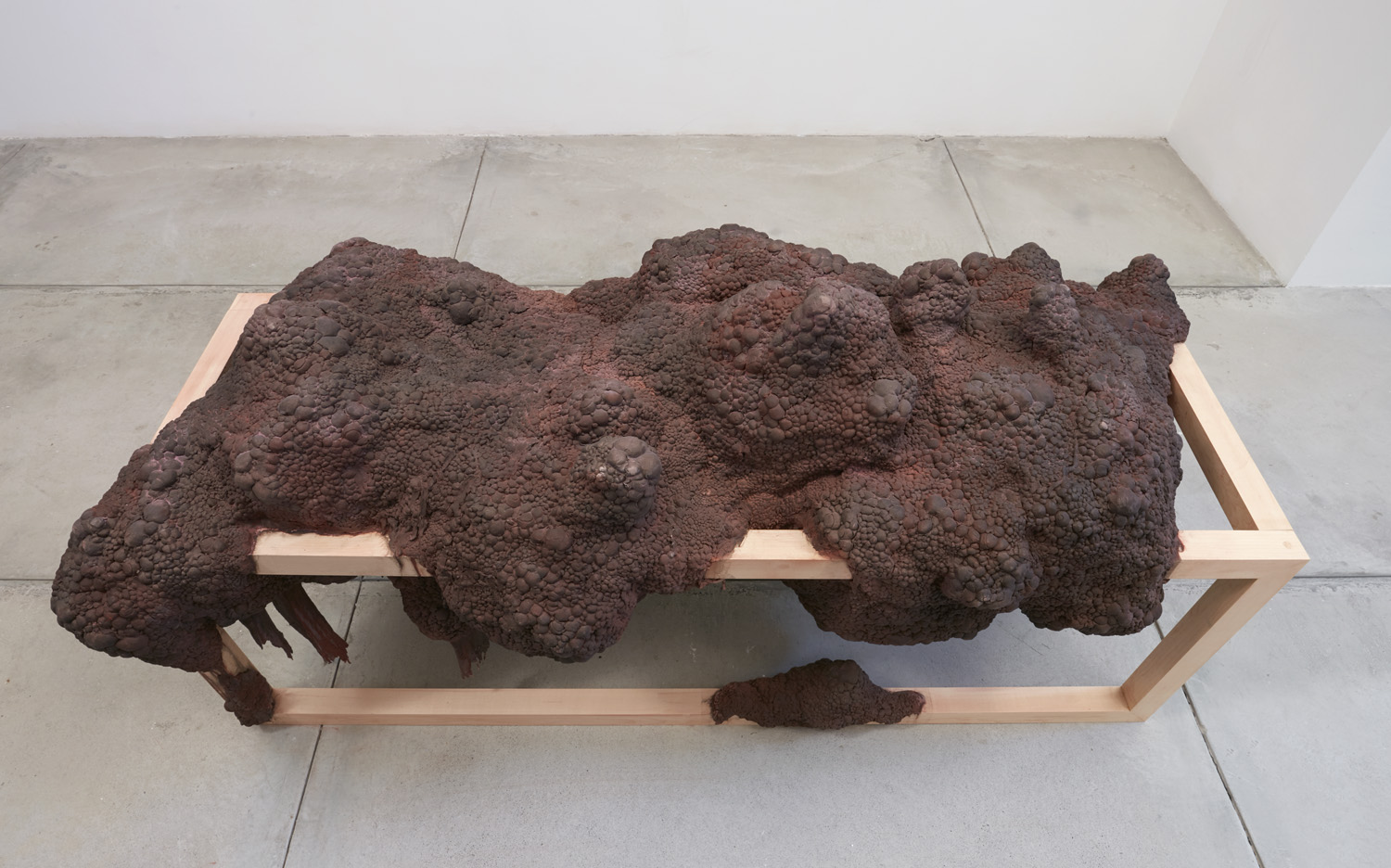 Magdolene Dykstra: all gilded landscapes and glistening shows fade at ...