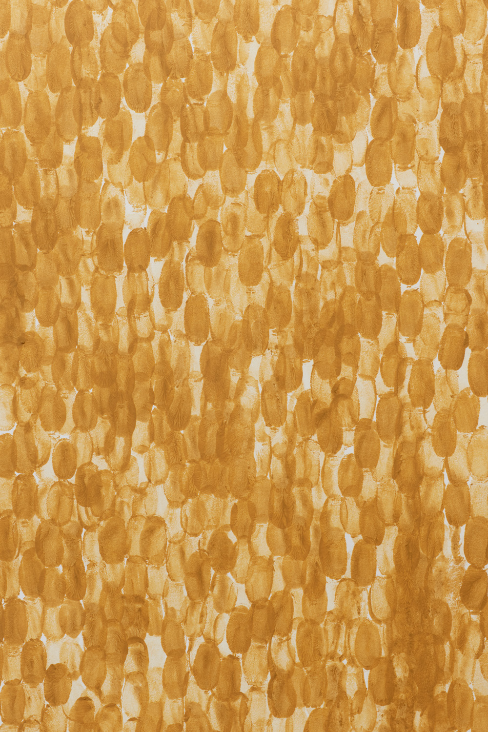 Magdolene Dykstra: all gilded landscapes and glistening shows fade at ...