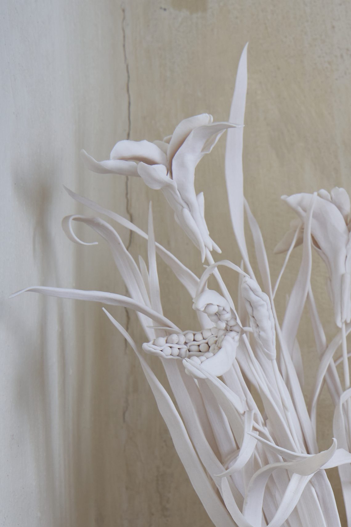 Katie Spragg: Plants, Porcelain, People, 2021 - Ceramics Now