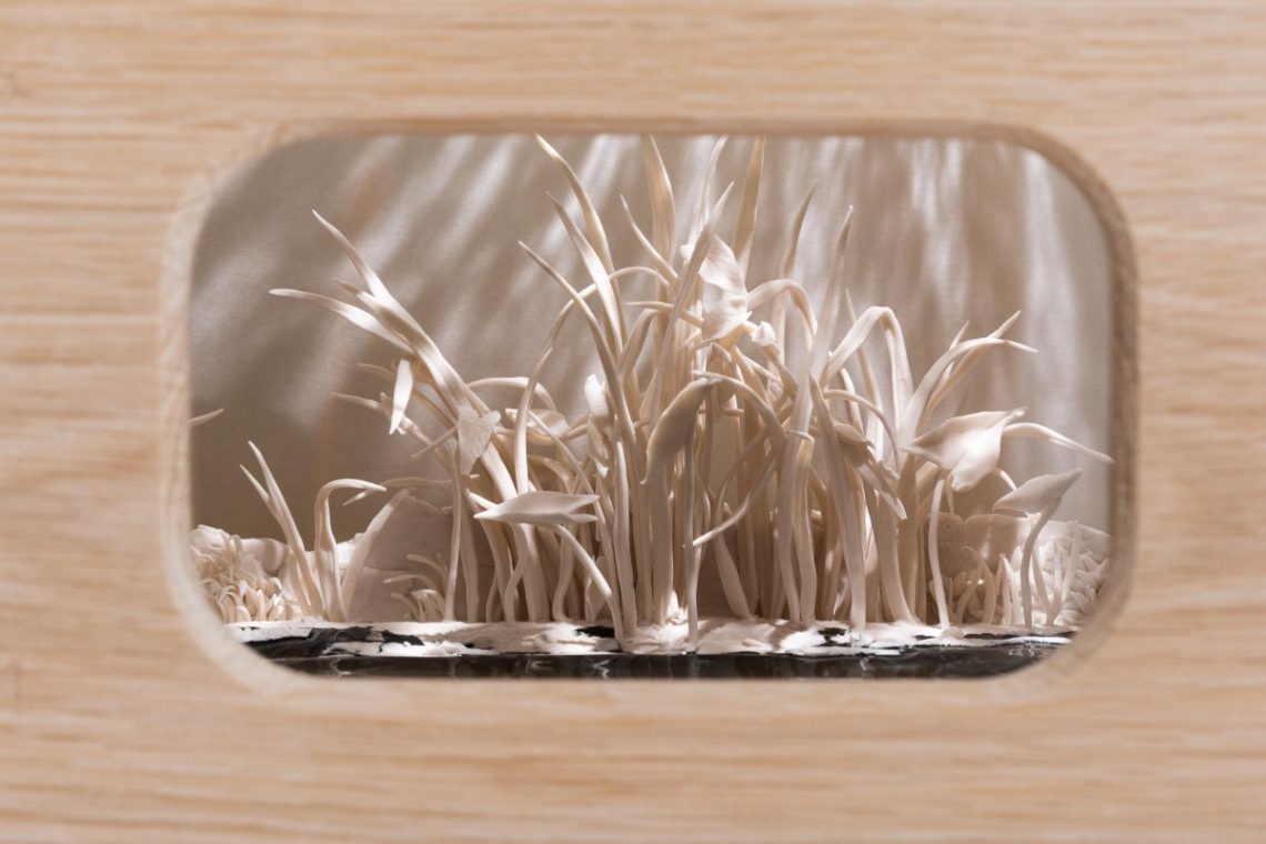 Katie Spragg: Gathering, 2020 - Ceramics Now