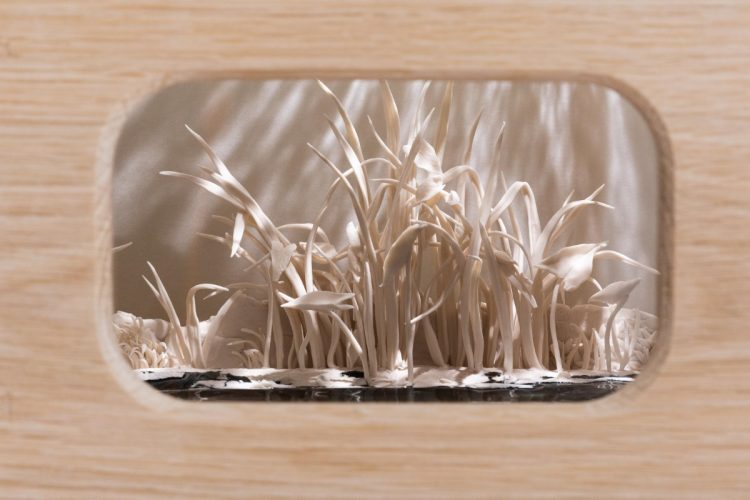 Katie Spragg: Gathering, 2020 - Ceramics Now