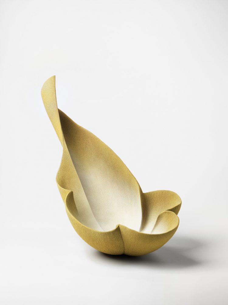 Pure Form: Japanese Sculptural Ceramics at the Art Gallery of South ...