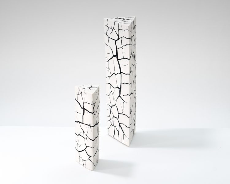 Symbiosis: Liza Riddle & Mark Goudy at Plinth Gallery, Denver ...