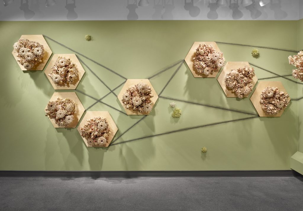 Susan Beiner - Ceramics Now