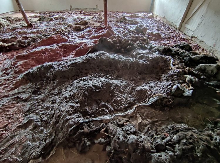 Alexandra Engelfriet: Intertwining, 2022 - Ceramics Now