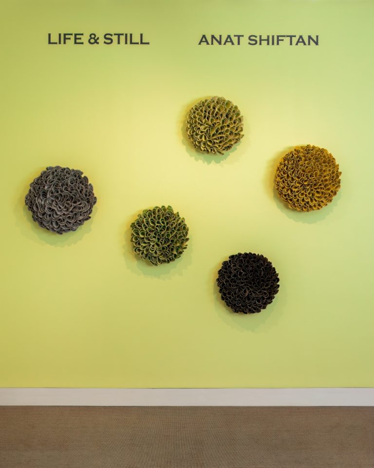 Anat Shiftan: Life & Still at Zillman Art Museum, Bangor - Ceramics Now