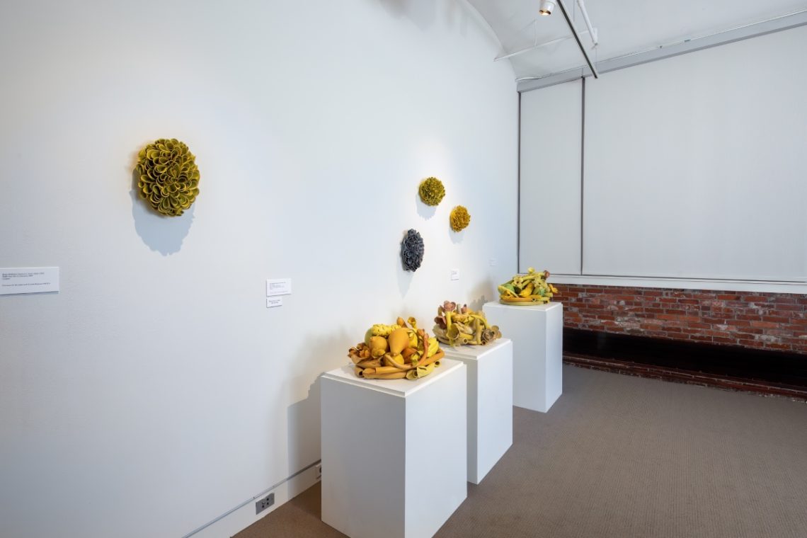 Anat Shiftan: Life & Still at Zillman Art Museum, Bangor - Ceramics Now