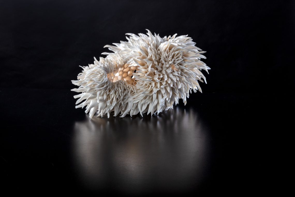 Nuala O'Donovan: Teasel Series, 2011-2022 - Ceramics Now