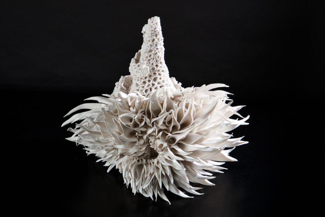 Nuala O'Donovan: Teasel Series, 2011-2022 - Ceramics Now