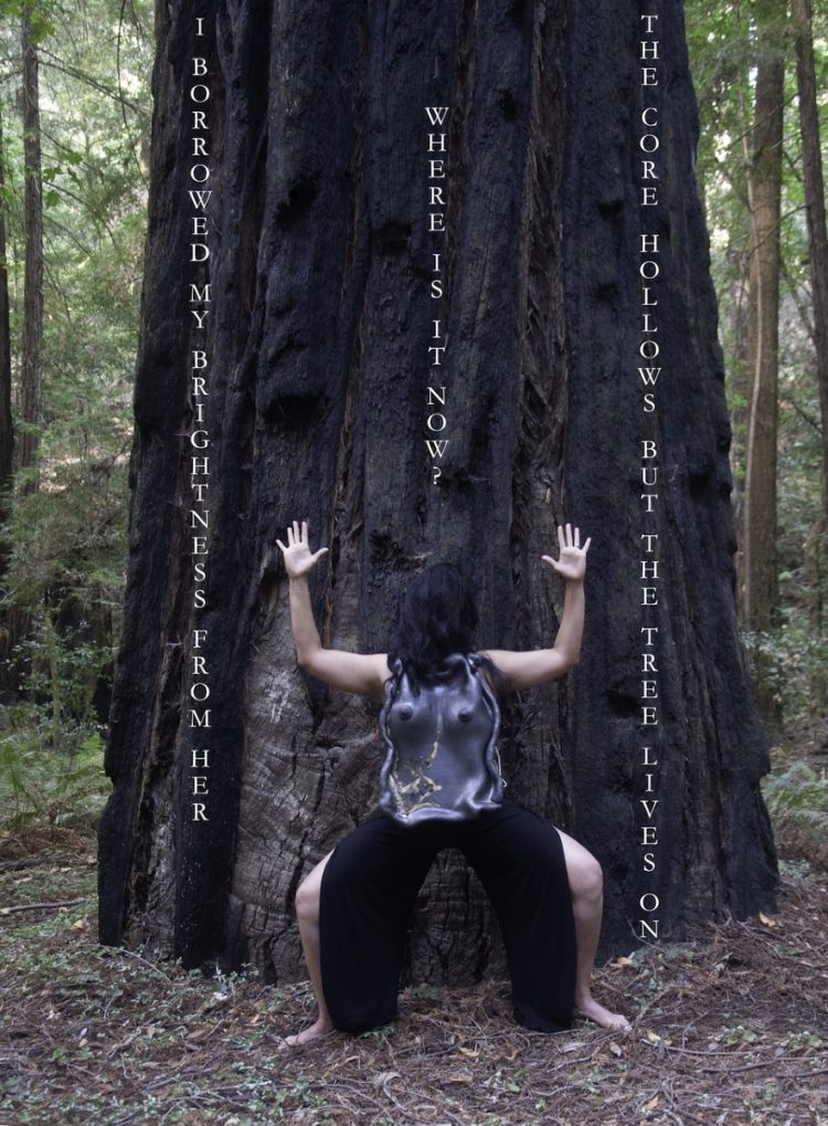 Ashwini Bhat & Forrest Gander: In Your Arms I'm Radiant at Shoshana ...