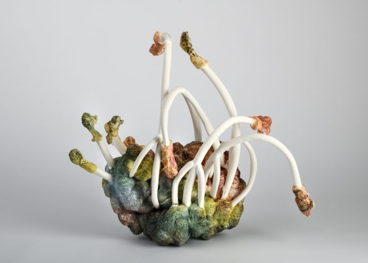 Contemporary ceramic artists featured in Ceramics Now