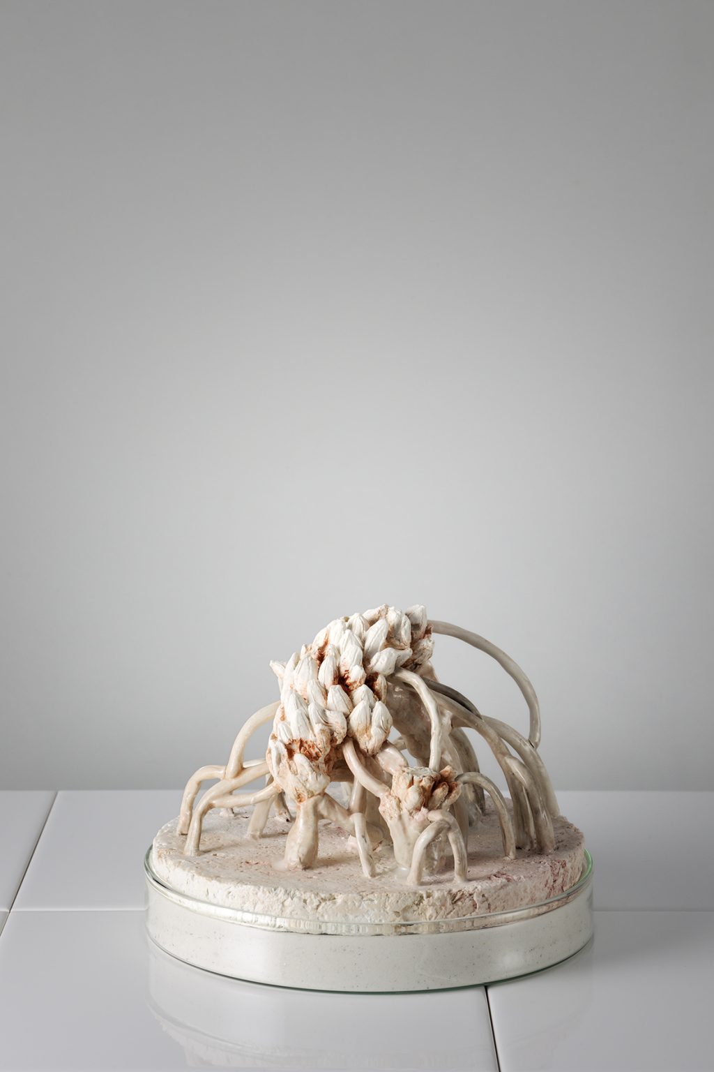 Pascale Klingelschmitt: Selected works, 2017-2022 - Ceramics Now