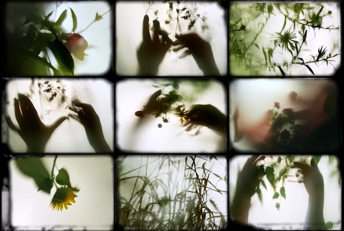Nicholas Crombach and Nurielle Stern: Petrichor at MacLaren Art Centre ...