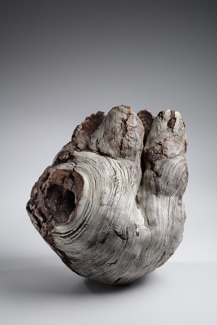 Radical Clay: Contemporary Women Artists from Japan at The Art ...