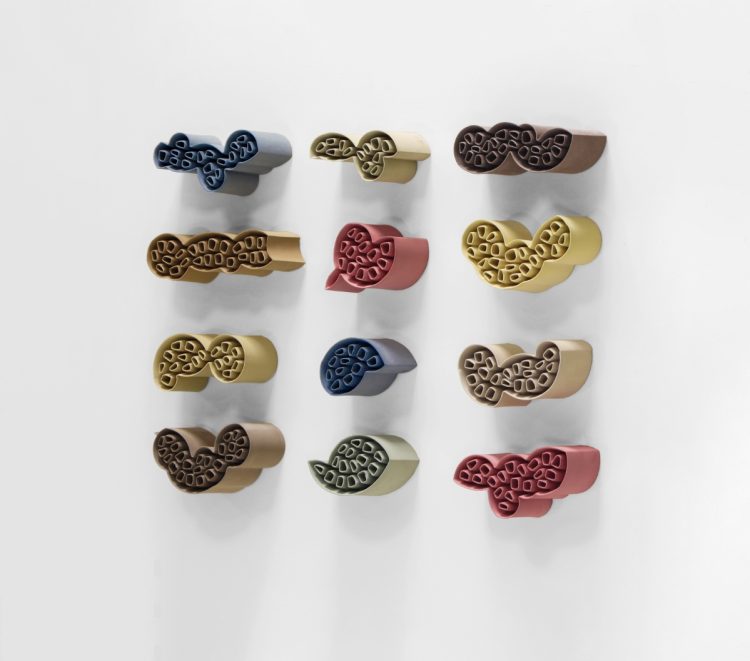 Hasan Şahbaz: Organic Objects, 2011-2017 - Ceramics Now