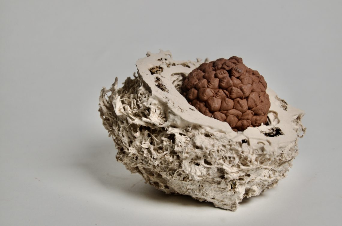 Sam Lucas: Mimesis, 2024 - Ceramics Now